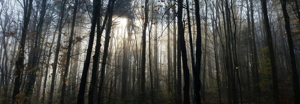 Location, Location, Location | Lisa Popp